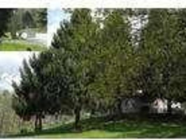 2br 1600 sq ft Retreat in Hocking Hills Laurelville