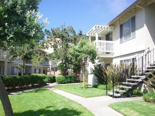 2br Nestled In Trees, Close To Ocean, Minuets From SF Welcome Home To Rent in Pacifica, California