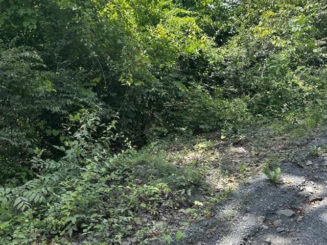 2Lots  463, 462 Reid Drive