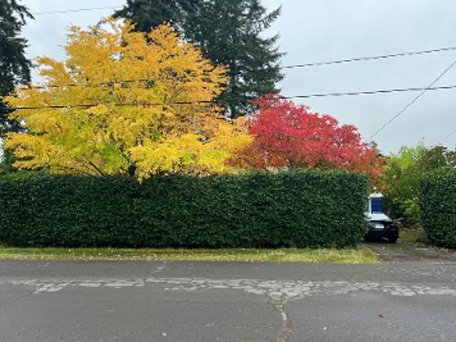 2nd Ave NW