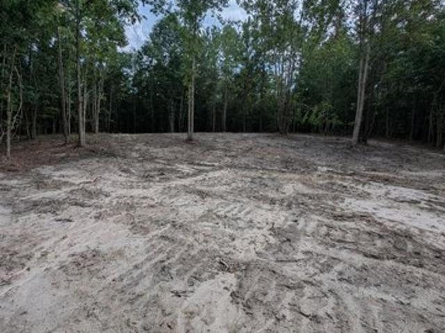 2R 4 Peyton Dr Lot 2R4, Eagle Springs, NC 27242