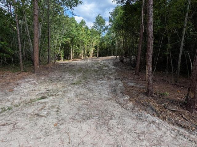 2r 4 Peyton Drive # 2R 4