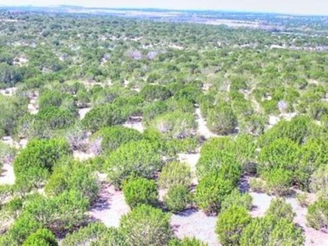 2W Tract 4 County Road 2200, Lometa, TX 76853