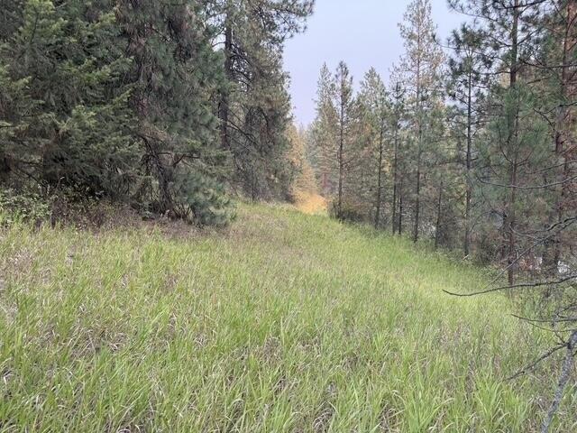 2XX Deadman Creek Rd, Kettle Falls, WA 99141