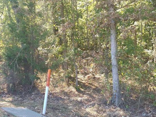 33 51C Zachary Taylor Highway