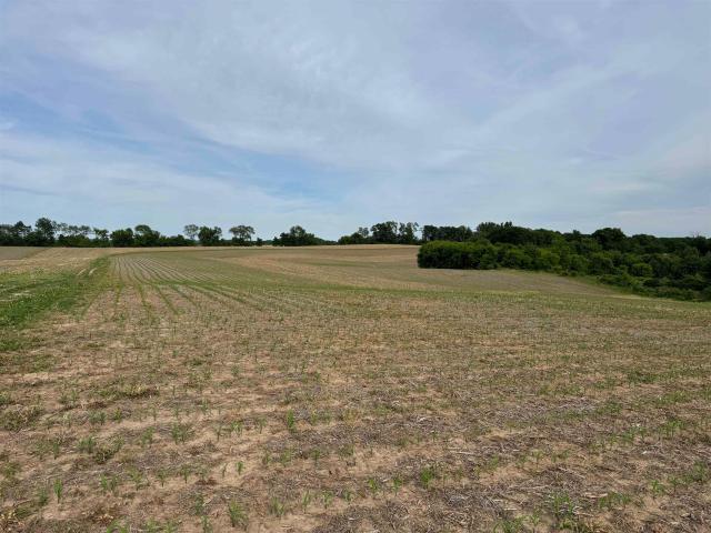 33.01 Acres Trail Lane
