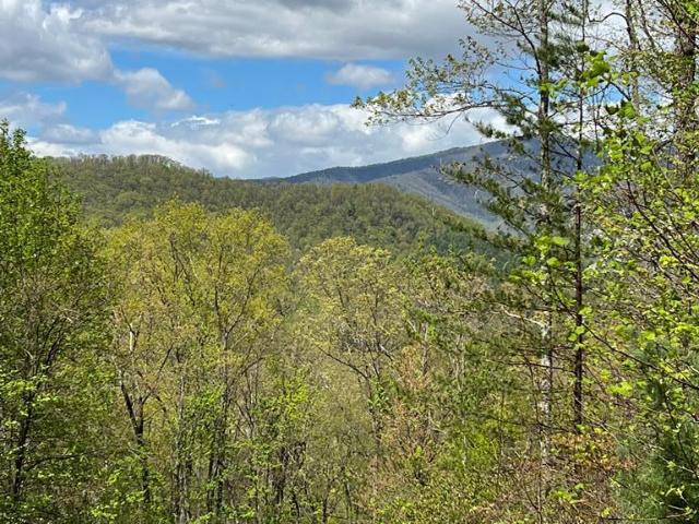 33 35 Ash Branch, Hayesville, NC 28904 | MLS #412883