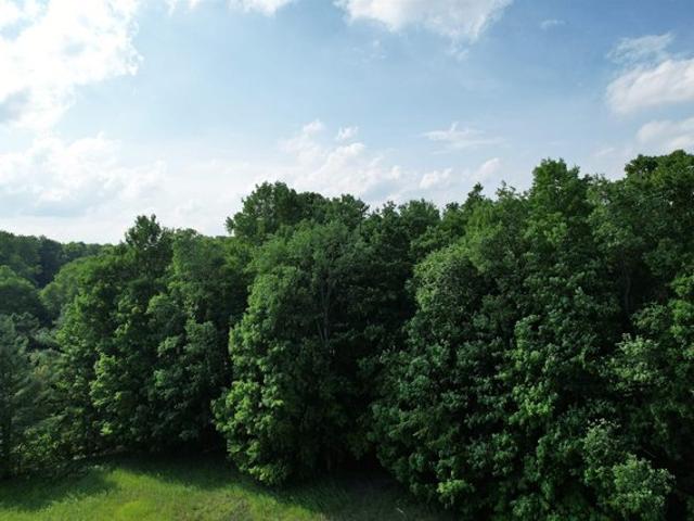 33 W 20 Rd, Mesick, MI 49668