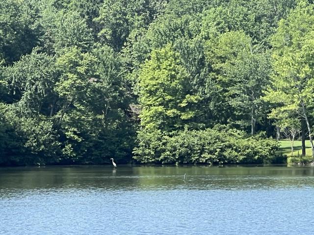 33 Arrowhead Pt Lot 175