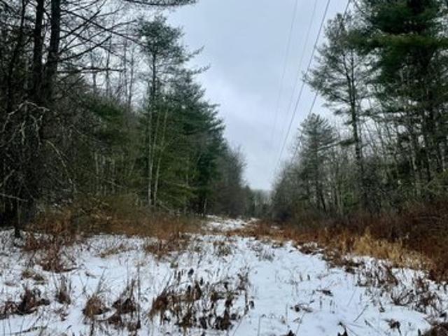 33 Arrowhead Rd, Little Meadows, PA 18830