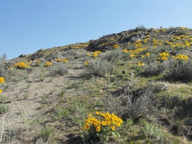 33 Avery Rd, Pateros, WA 98846 | MLS #2504 | Compass