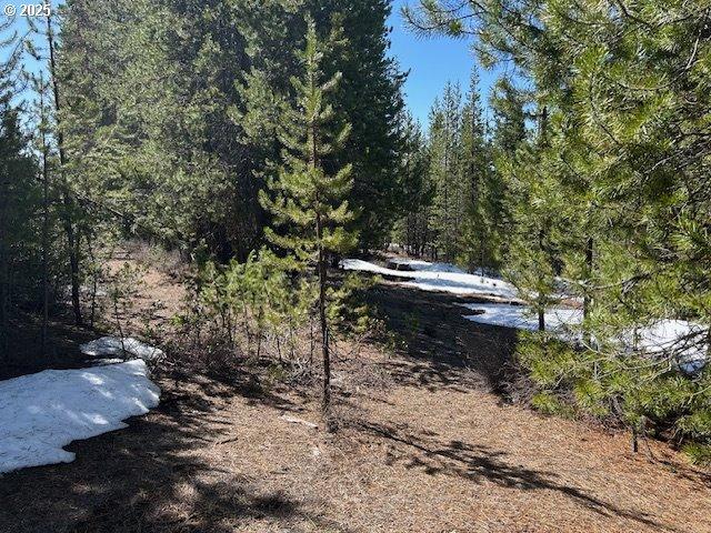 33 Emerald Meadows WAY