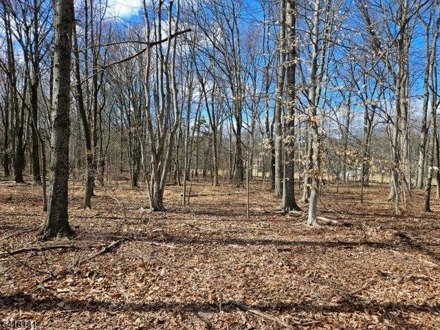 33 Featherbed Ln, Raritan, NJ 08822