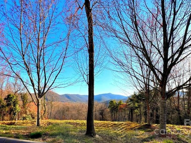 33 Grovepoint Way, Asheville, NC 28804 | MLS #4301 | Compass