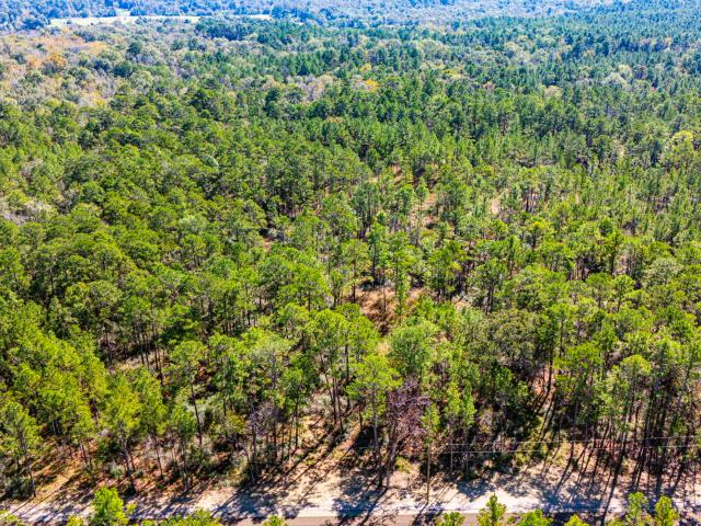 33 King Ranch Road Rd, Onalaska, TX 77360 | MLS #46901
