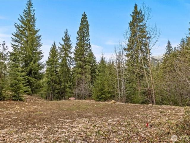 33 Lakeside Ct, Ronald, WA 98940