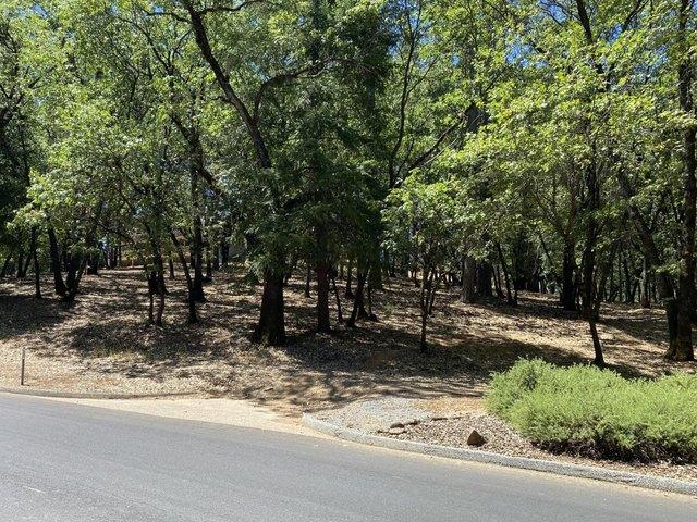 33 Nugget Dr, Foresthill, CA 95631