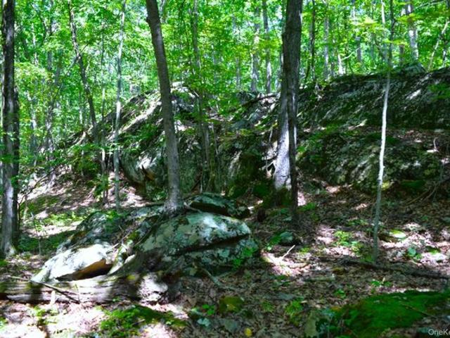 33 Old East Rd, Wallkill, NY 12589
