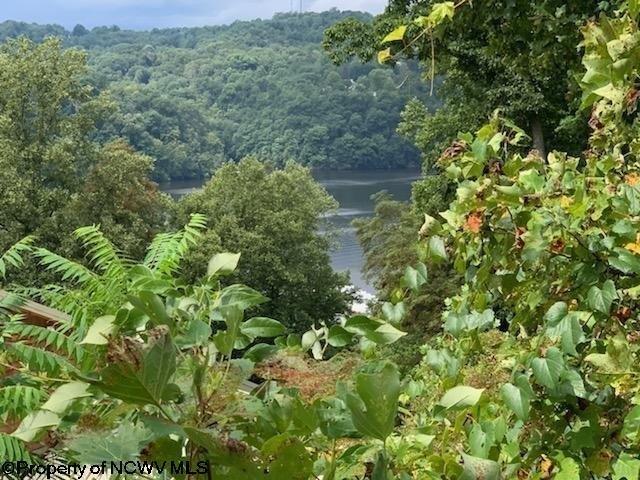 33 Pike Loop Rd, Morgantown, WV 26508