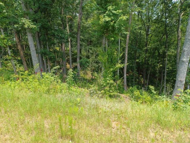 33 Ridge Line Trail, Ellijay, GA 30540 | MLS #10663