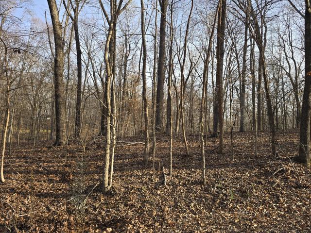 33 Rockcastle Shores