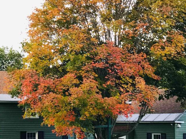 33 S Main Rd, Otis, MA 01253 | MLS #248708 | Compass