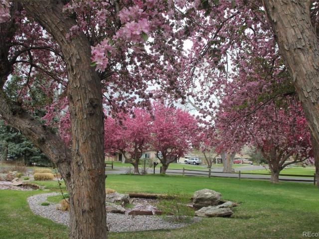 33 Skyline Drive