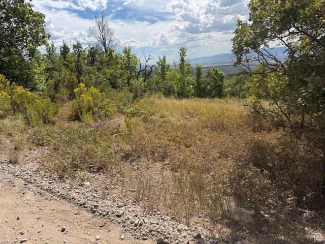 33M Juniper Dr Unit M33, Fairview, UT 84629