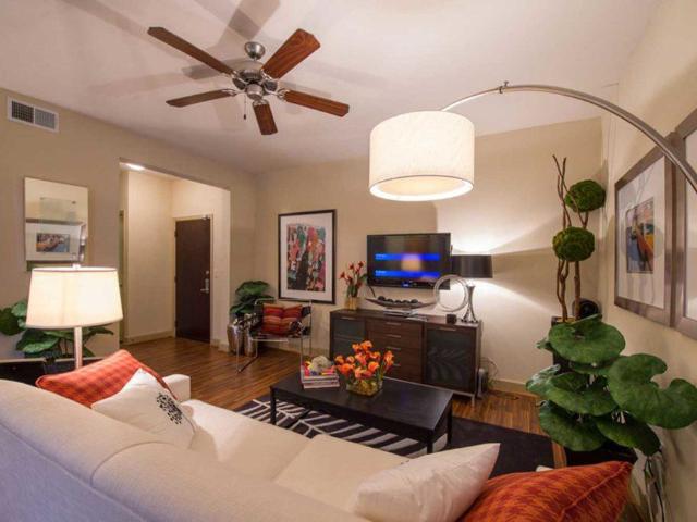 33ThirtyThree 1 Bedroom Apartment for Rent at 3333 Weslayan St, Houston, TX 77027 Greenway Upper Kirby