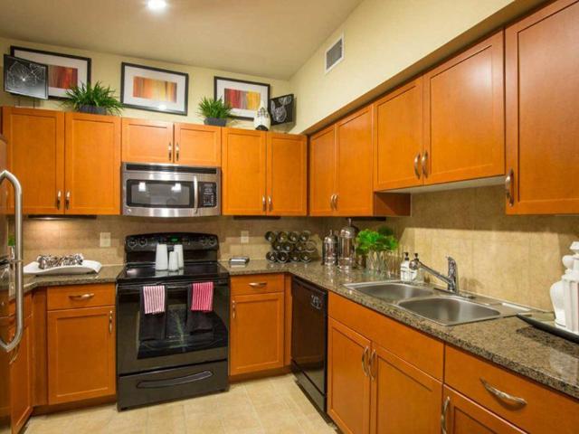 33ThirtyThree 1 Bedroom Apartment for Rent at 3333 Weslayan St, Houston, TX 77027 Greenway Upper Kirby