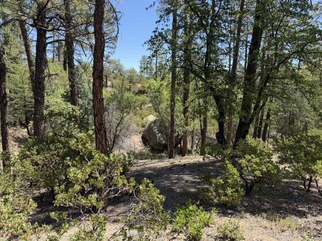 3004 E Game Trl Lot 263, Payson, AZ 85541