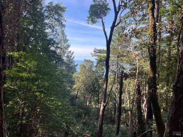 30055 Seaview Rd, Cazadero, CA 95421
