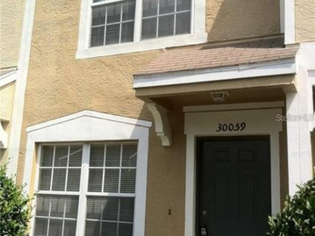 30059 Granda Hills Ct, Wesley Chapel, FL 33543