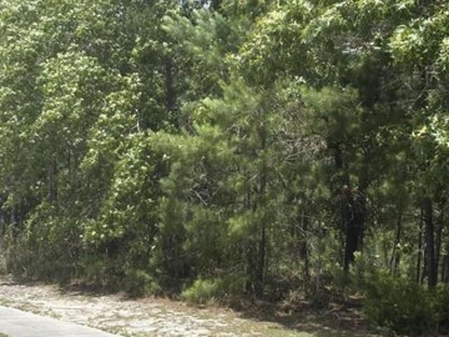 3005 Arundel Hl SW, Shallotte, NC 28470