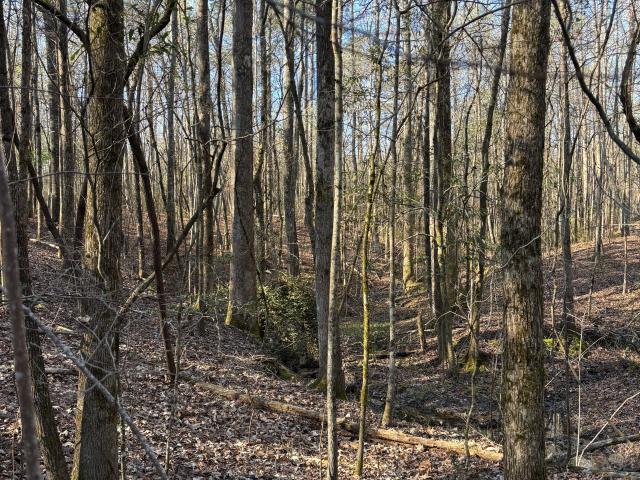 3005 Highway 18, West Point, GA 31833 | MLS #10710