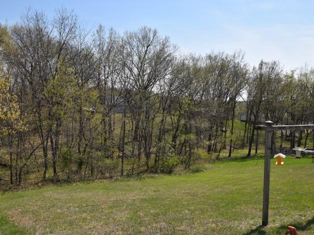 30009 Sunflower Drive