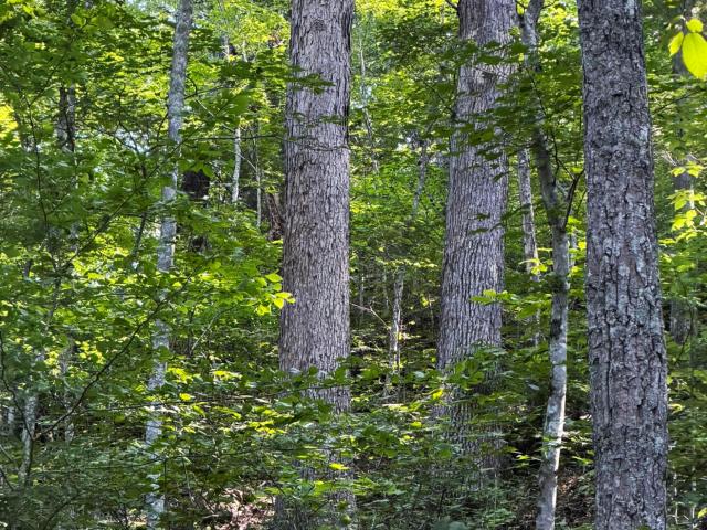 3000 Miller Creek Road
