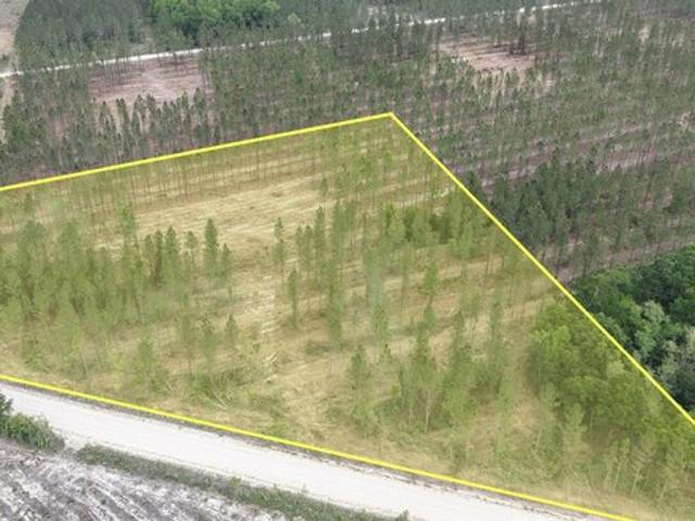 3000 Buck Swamp Rd Lot 7, Brunswick, GA 31523