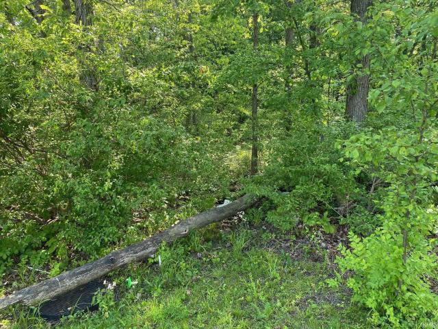 3000 Blk N Benton Road