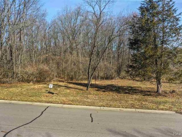3000 Rockingham Way Rd, Summit Township, MI 49203