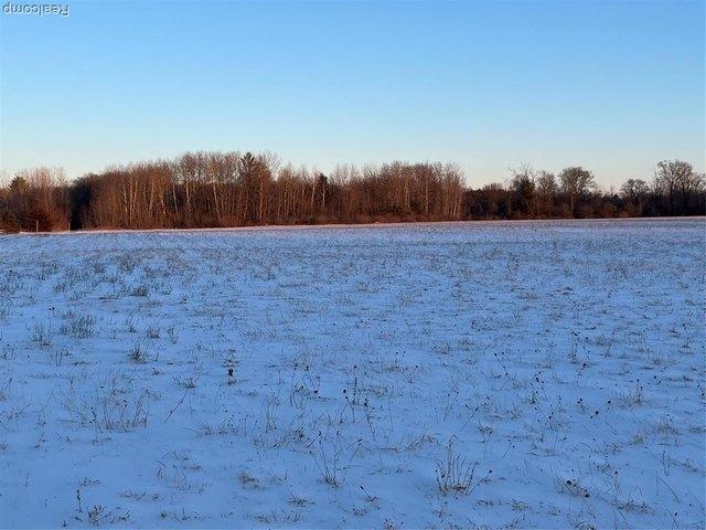 3000 S Genuine Rd, Chippewa Township, MI 48858