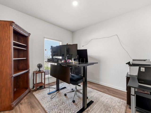 30010 Vallonea Oak