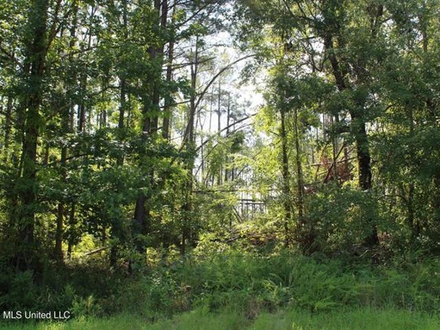 3001 Wilkins Chapel Rd, Holly Springs, MS 38635