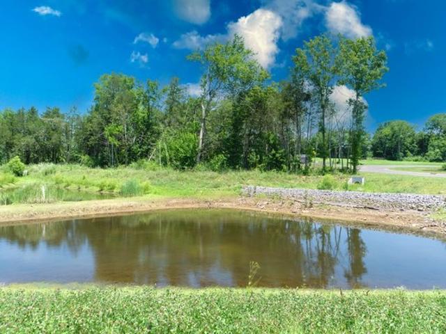 3002 Stonehorn Dr, Bell Buckle, TN 37020