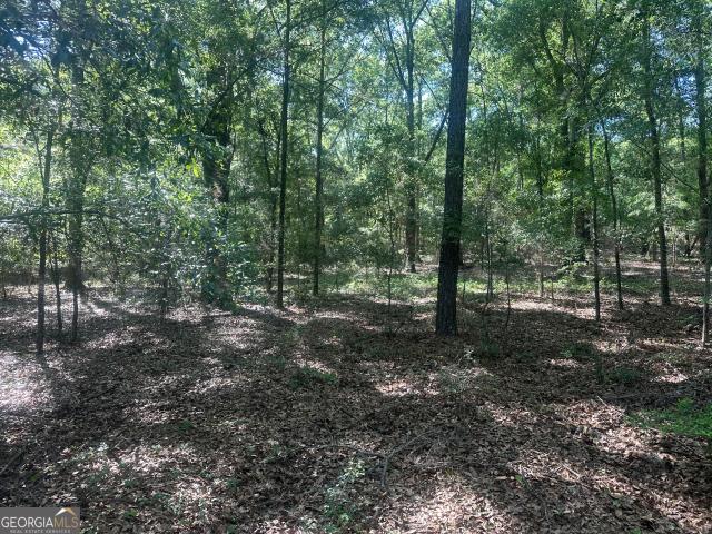 300 Country Club Road Lot 5 Highway LOT 5
