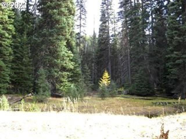 300 Catherine Crk Meadow # 1