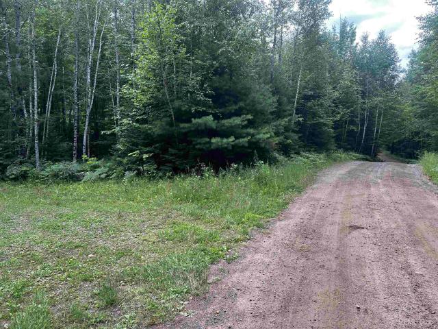 300 Acres TBD Holli Blue Road