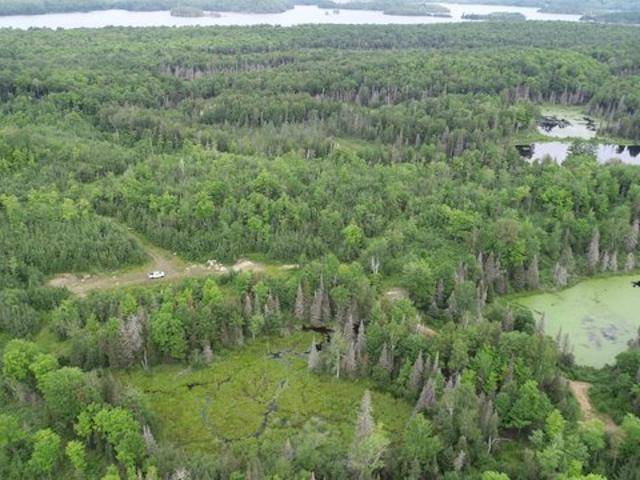 300 Acres Tbd Holli Blue Rd, Republic, MI 49879