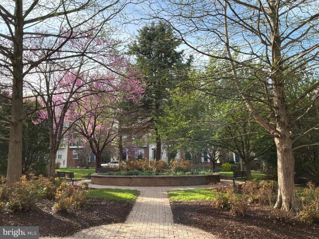 300 Garden View Square