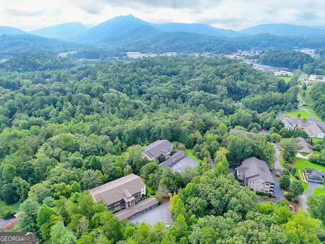 300 Ginger Creek Ln Apt 203, Clayton, GA 30525